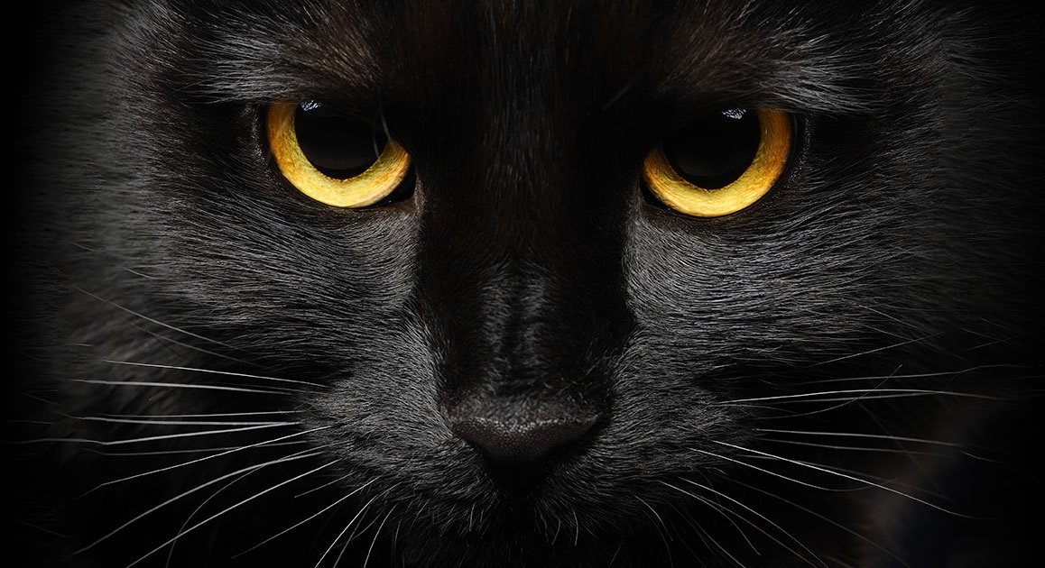 TOP 13 des chansons parfaites pour survivre au vendredi 13