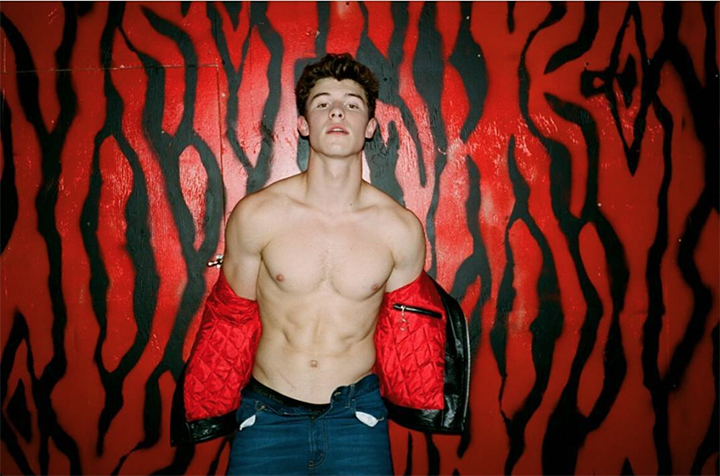 PHOTOS Shawn Mendes Shows Off Physique For Flaunt Magazine