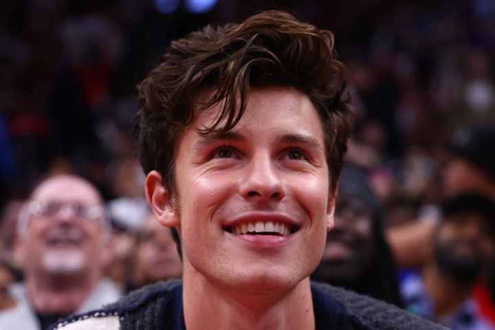 Shawn Mendes Strips Down For Icy Dip